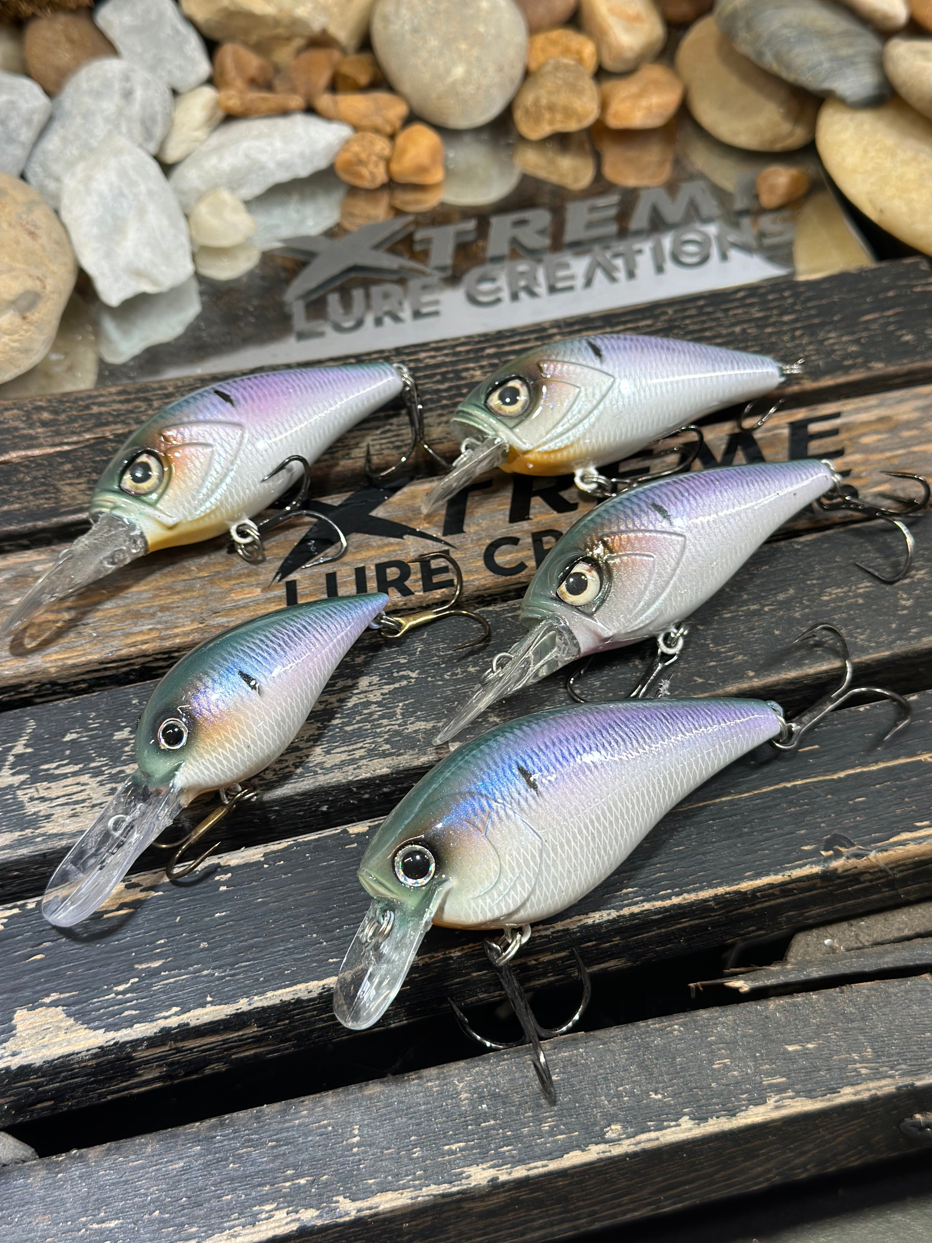 * NEW * SET OF 5 LURES* NAME BRAND CRANKBAIT - LANIER HERRING